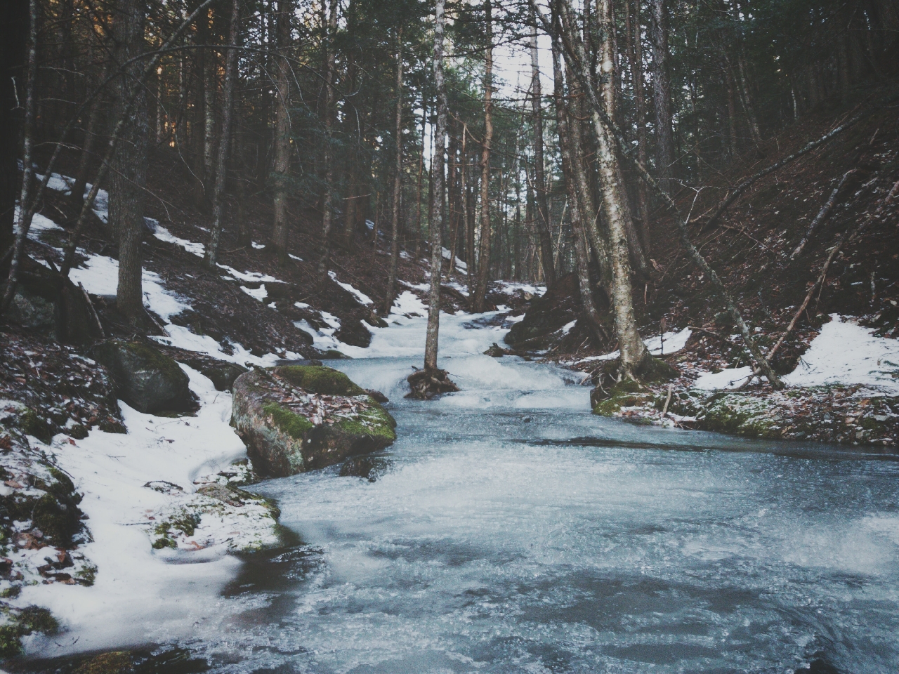 Webinar | FX-Risk Management